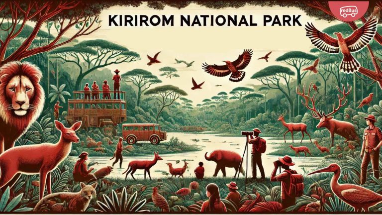 Reveal Kirirom National Park: The Perfect Weekend Getaway